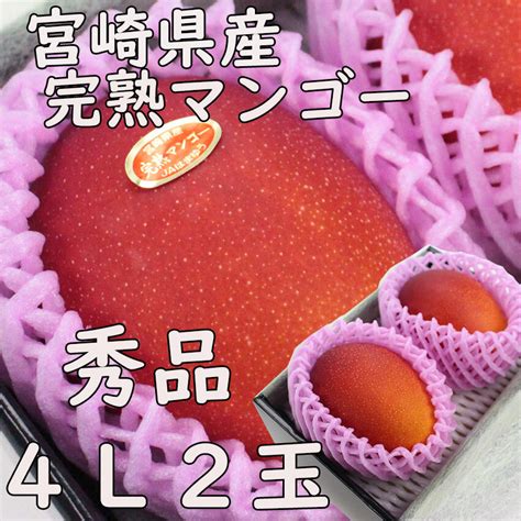 【楽天市場】母の日 父の日 宮崎県産 完熟マンゴー【秀品】4l2玉 送料無料 贈答 大玉 ギフト プレゼント のし 熨斗対応 日付指定ok
