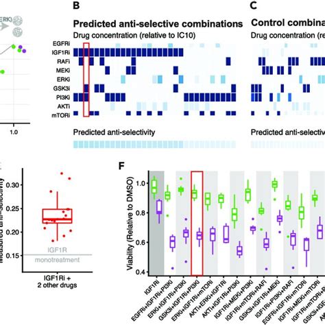 Overview Of Pipeline To Prioritize Promising Selective Low Dose Download Scientific Diagram