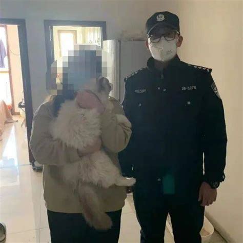 深学笃用 天津行动丨猫自己开门跑了！ 辅警细心寻找杨女士钟文线索