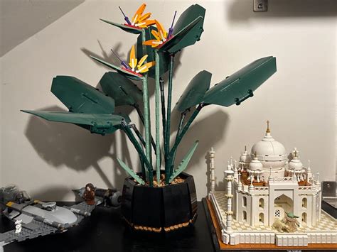 Stop Murdering Houseplants Try Lego Flowers Instead Reviews By