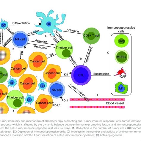 Reports On The Efficacy Of Pd 1 L1 Inhibitor Plus Chemotherapy In