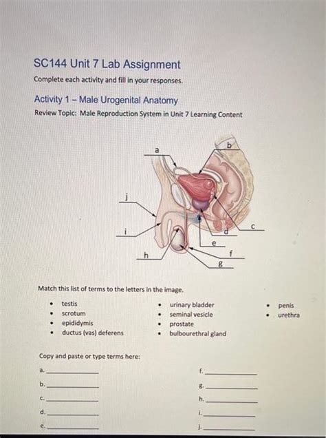 Solved Sc144 Unit 7 Lab Assignment Complete Each Activity