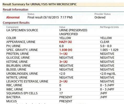 Diagram Diagram For Urinalysis Mydiagramonline