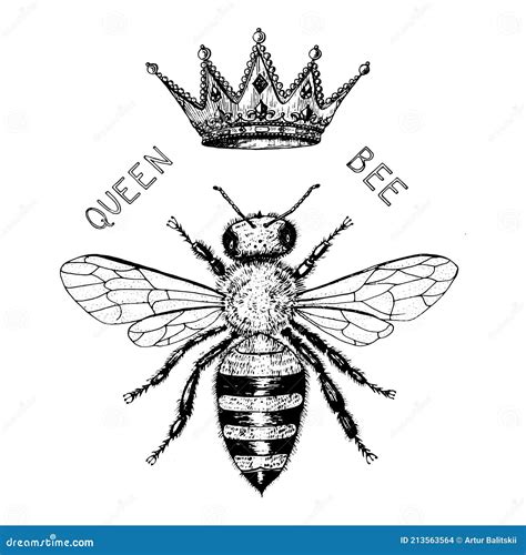 Abeja Y Miel Logo Aguamiel Insecto Floral Y Apicultura Nido De