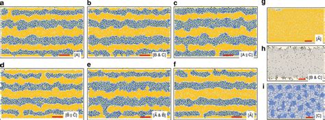 Robustness In Pattern Formation Dynamics Of Reduced Model Letter Download Scientific Diagram