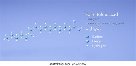 Palmitoleic Acid Molecular Structures Omega7 3d Stock Illustration