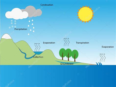 The Water Cycle Stock Vector Thinkstock