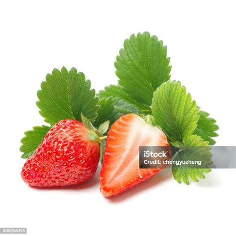 흰색 배경에 고립 된 딸기 0명에 대한 스톡 사진 및 기타 이미지 0명 딸기 사진 이미지 Istock