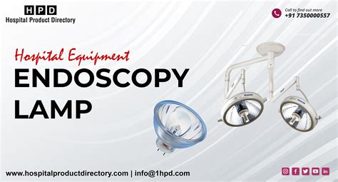 What Does The Process Of Endoscopy Involve By Newozahub Medium