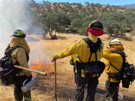 Harnessing The Power Of Prescribed Fire A Crucial Tool For Ecosystem