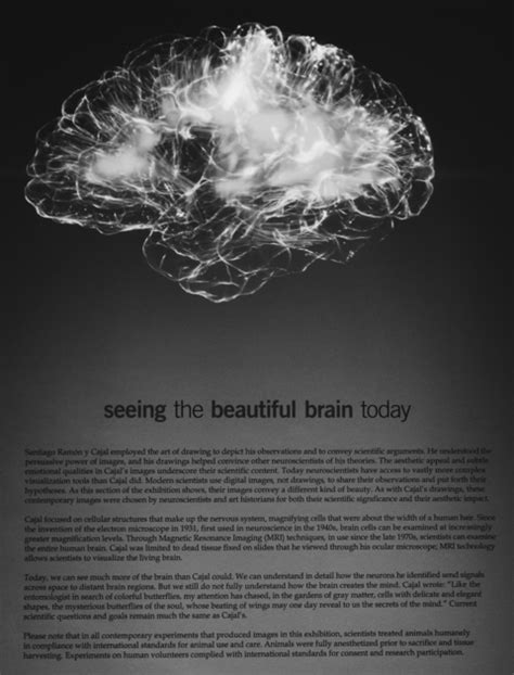 뇌와 신경에 대해서 연구하는 학문 신경과학neuro Science밸류체인타임스 밸류체인타임스 인재