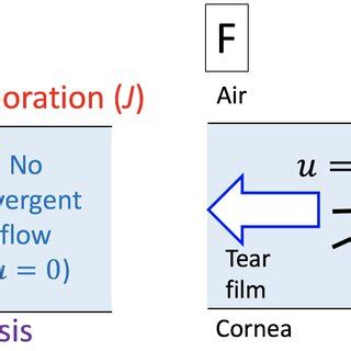 Schematic For The Case O And F Models Download Scientific Diagram