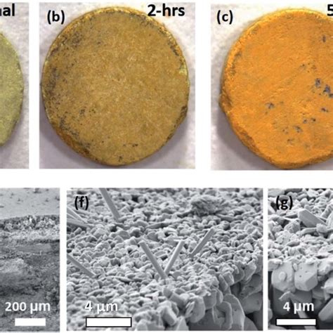 Optical Images Showing The Morphology Microstructure And Color