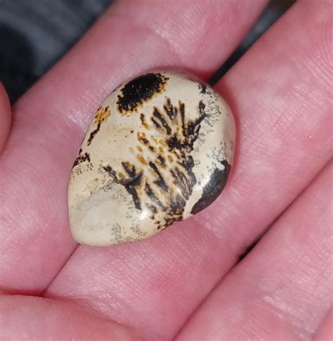 Dendrites R MineralPorn