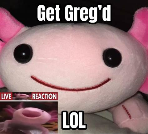 Warning A Wild Greg Has Appeared And Everyone Who Sees This Ocs