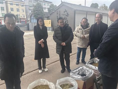 南平市农业农村局赴浙江省松阳县调研“三茶”统筹发展