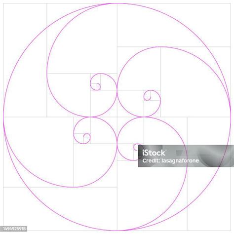 Spiral Fibonacci Template Vektor Sempurna Spiral Rasio Emas Ilustrasi