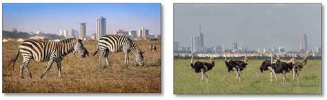 Conference Excursions Iasc 2023 Xix Biennial Iasc Conference The Commons We Want