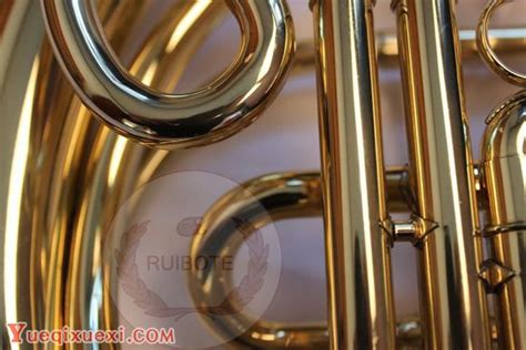 黄铜漆金圆号图片欣赏 圆号百科 乐器学习网