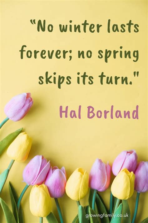100 Spring Quotes And Spring Sayings To Inspire And Energise You