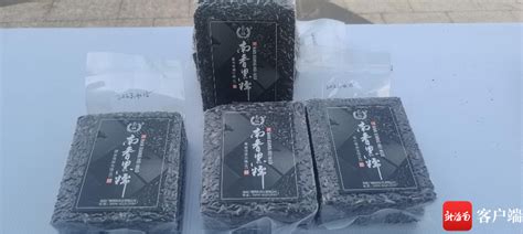 2023中国（陵水）南繁科研成果展示交易会开幕 147家企业470多个产品亮相陵水 新闻中心 南海网