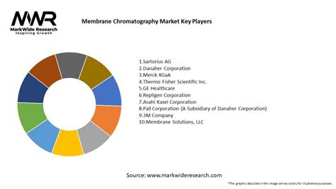 Membrane Chromatography Market Size Share Trends Analysis And Forecast 20252034 2025 2034