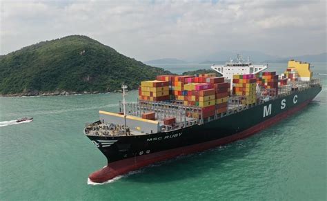 Msc Ruby Vesseljoin