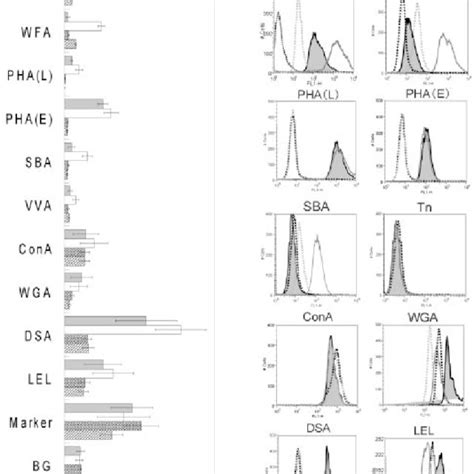 Comparison Of The Results Obtained On Lectin Microarray With Flow