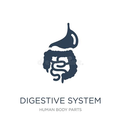 Pancreas Icon In Trendy Design Style Pancreas Icon Isolated On White