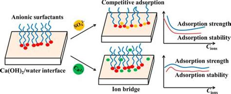 Computational Simulations Of Adsorption Behavior Of Anionic Surfactants At The Portlanditewater