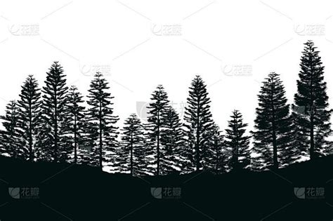 松树森林剪影孤立oon白色背景