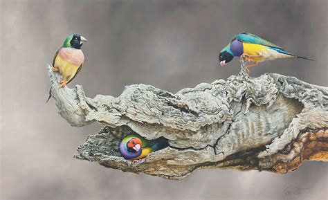 Greg Postle Origins Origin Publishing