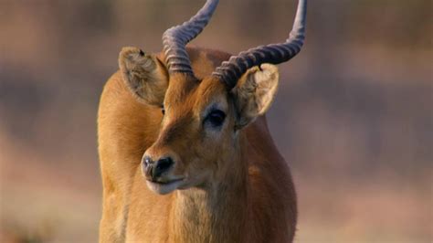 The Hardest Challenge Youtube