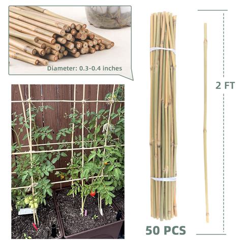 Arlmont And Co 50pcs 2ft Bamboo Plant Stakes For Indoor Outdoor Plants