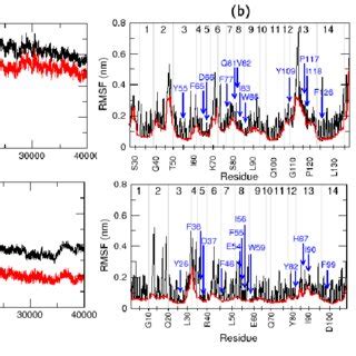 Structural Analysis Of The Mip I And FKBP12 Ii Proteins A