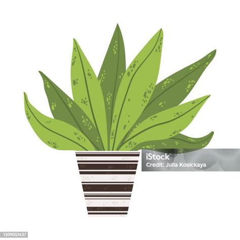 냄비에 화려한 단일 하우스 식물 화분에 실내 식물의 벡터 그림 플랫 만화 스타일의 냄비에 꽃 흰색 배경에 격리 0명에 대한 스톡 벡터 아트 및 기타 이미지 Istock