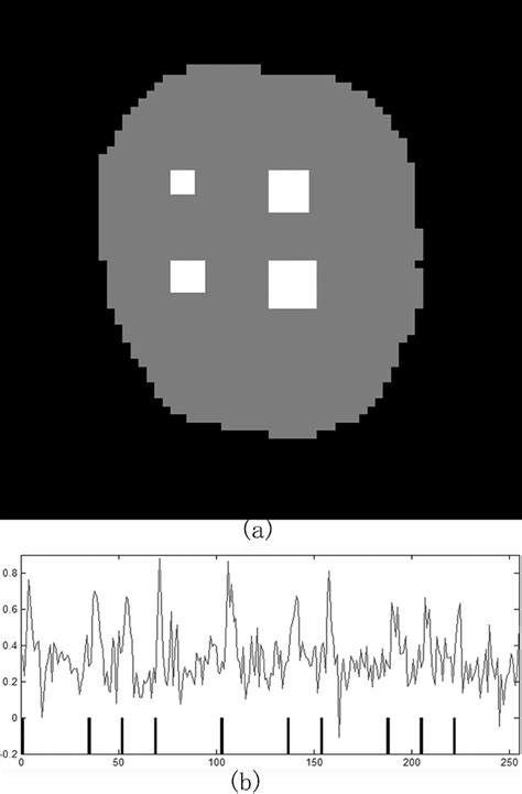 A One Slice Of The Simulated FMRI Data The White Box Represents The Download Scientific