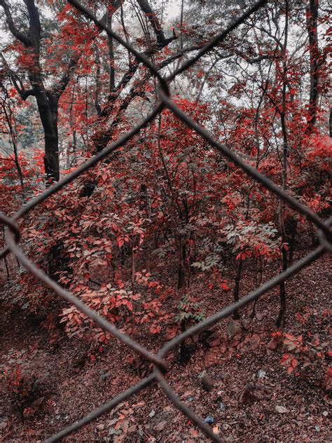 A Wire Mesh Pixahive