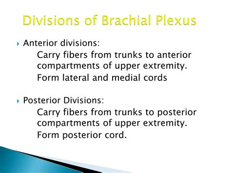 Brachial Plexus Ppt By Dr Mittal Lohar Ppt