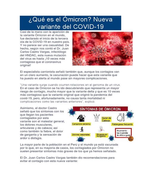 Qué Es El Ómicron Pdf