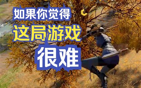 在？今天有向生活挥拳吗？ 王17又玩游戏了 王17又玩游戏了 哔哩哔哩视频