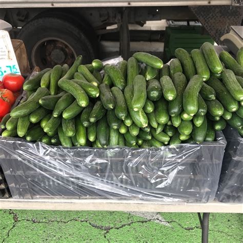 Persian Cucumbers Information Recipes And Facts