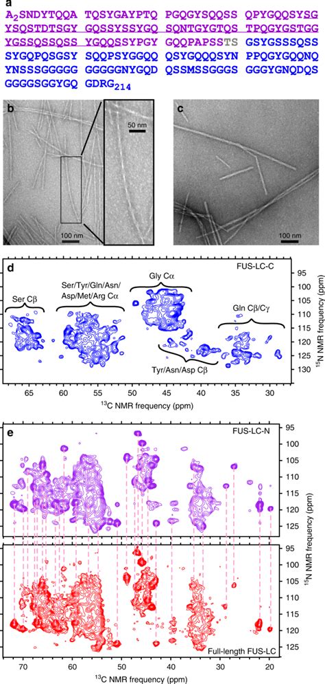Molecular Structure And Interactions Within Amyloid Like Fibrils Formed By A Low Complexity