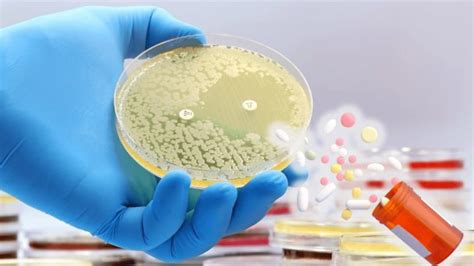 Resistencia Bacteriana Sería La Principal Causa De Muerte En 2050