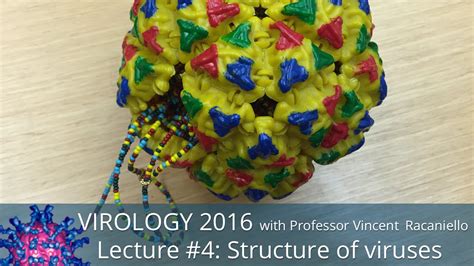 Virology Lectures Structure Of Viruses YouTube