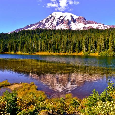 Mount Rainier Mount Rainier National Park Alt Du Skal Vide Før Du