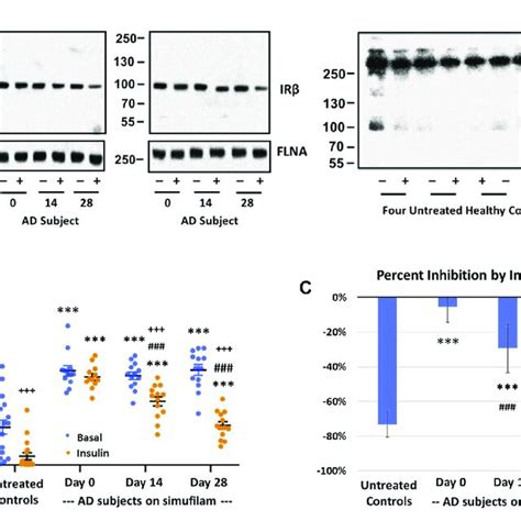 Simufilam Treatment Restores The Insulin Stimulated Reduction In Flna