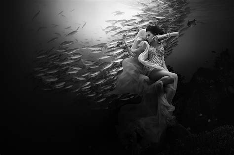 Underwater Underwater Photography Underwater Pictures Underwater