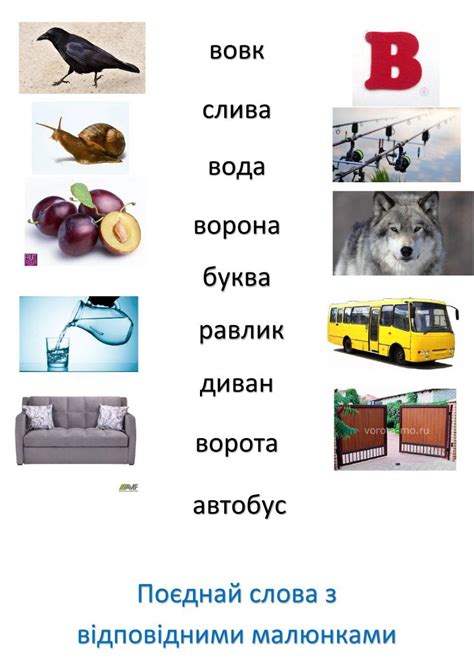 Читання з буквою В Worksheet Live Worksheets