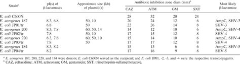 Characteristics Of Enterobacter Strains And Their Respective Download Table